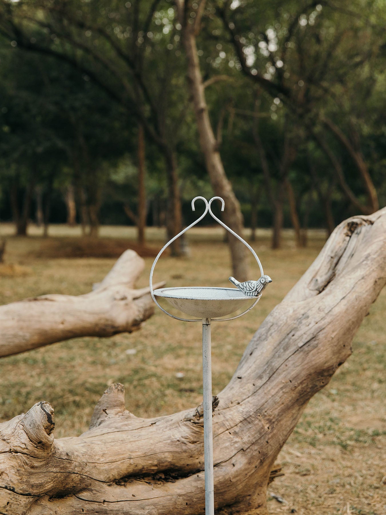 Mud Stick – The Home & Garden Company